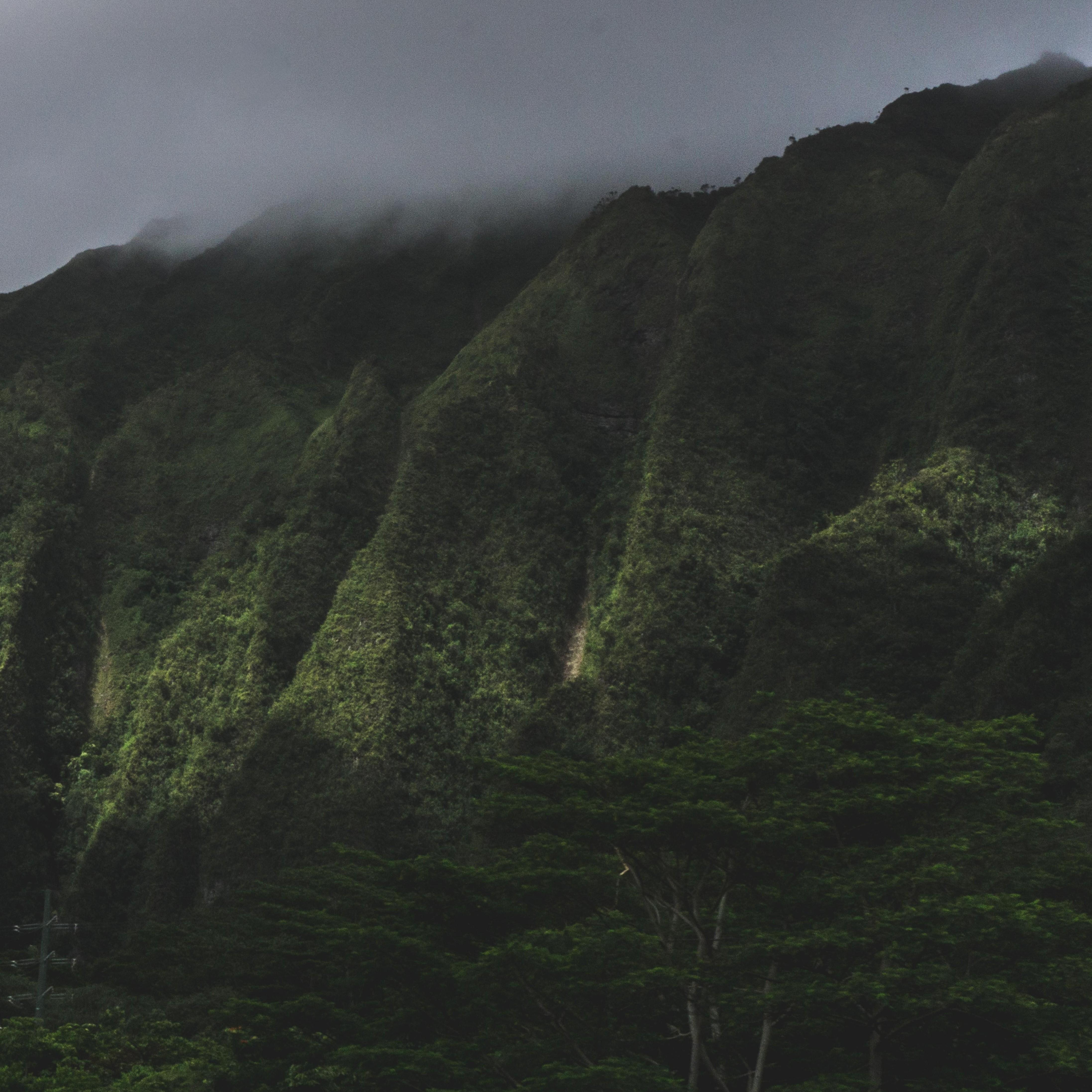 Make The Most of Your Time in Chiriqui in Panamas highlands